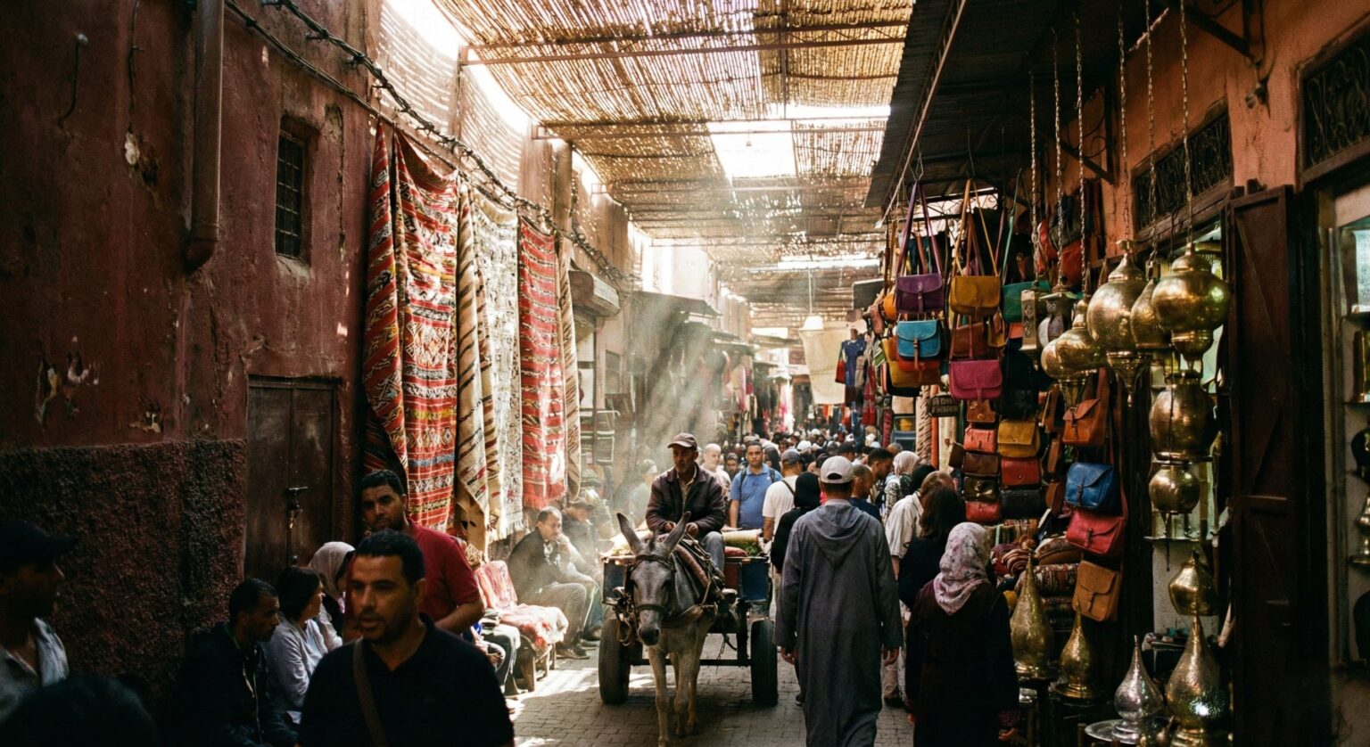Explore The Historic Medina In Marrakech: A Complete Travel Guide For 2026